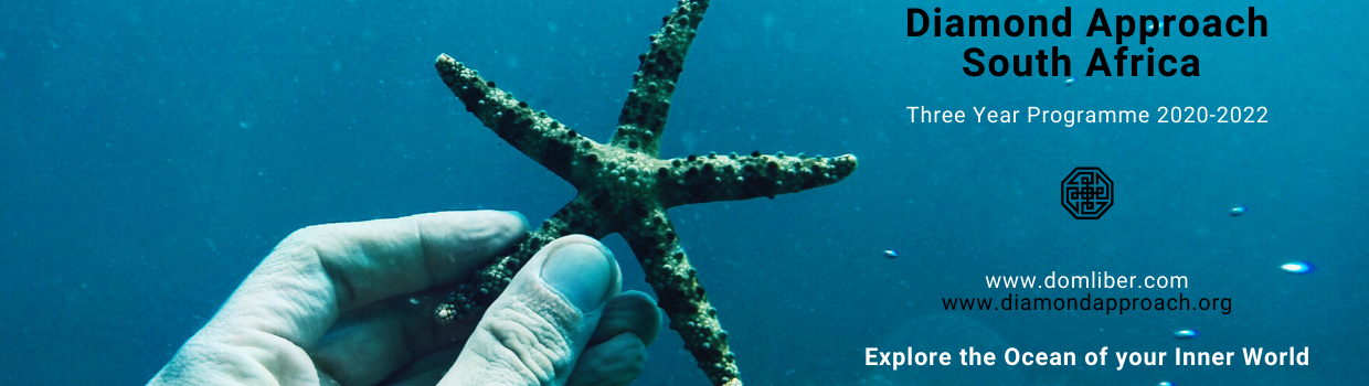 Diamond Approach South Africa: Johannesburg Long Weekend Retreat | Ridhwan