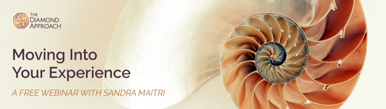 Moving Into Your Experience: How the Diamond Approach Is Different From ...